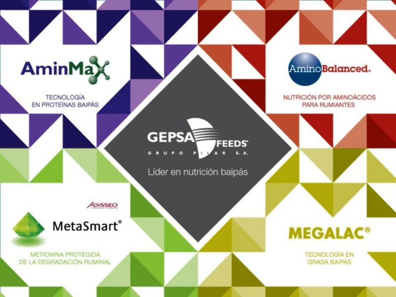 GEPSA FEEDS presenta su línea de nutrición BAIPÁS | HorizonteA Digital